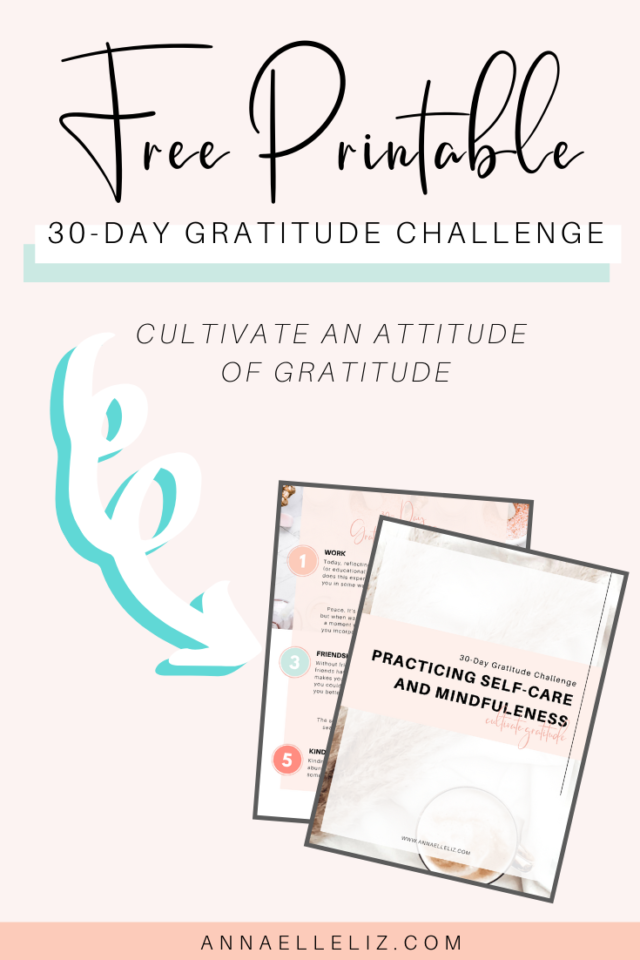 30-Day Gratitude Challenge | Anna Elle Liz